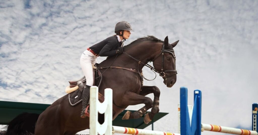 The Intersection of Precision and Design: Horse Jump Standards - FitCoding